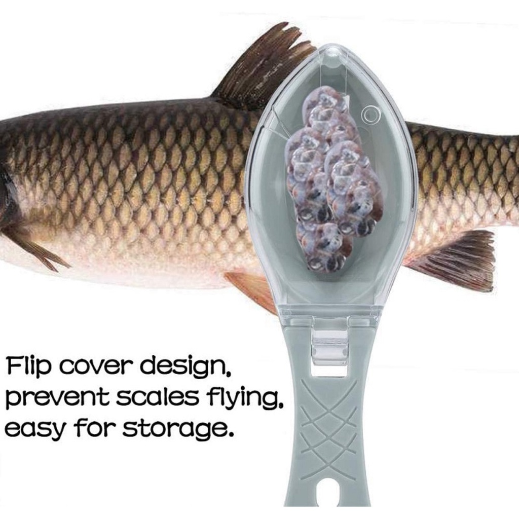 Plastic Fish Scales Graters Scraper Fish Cleaning Scraping Scales ...
