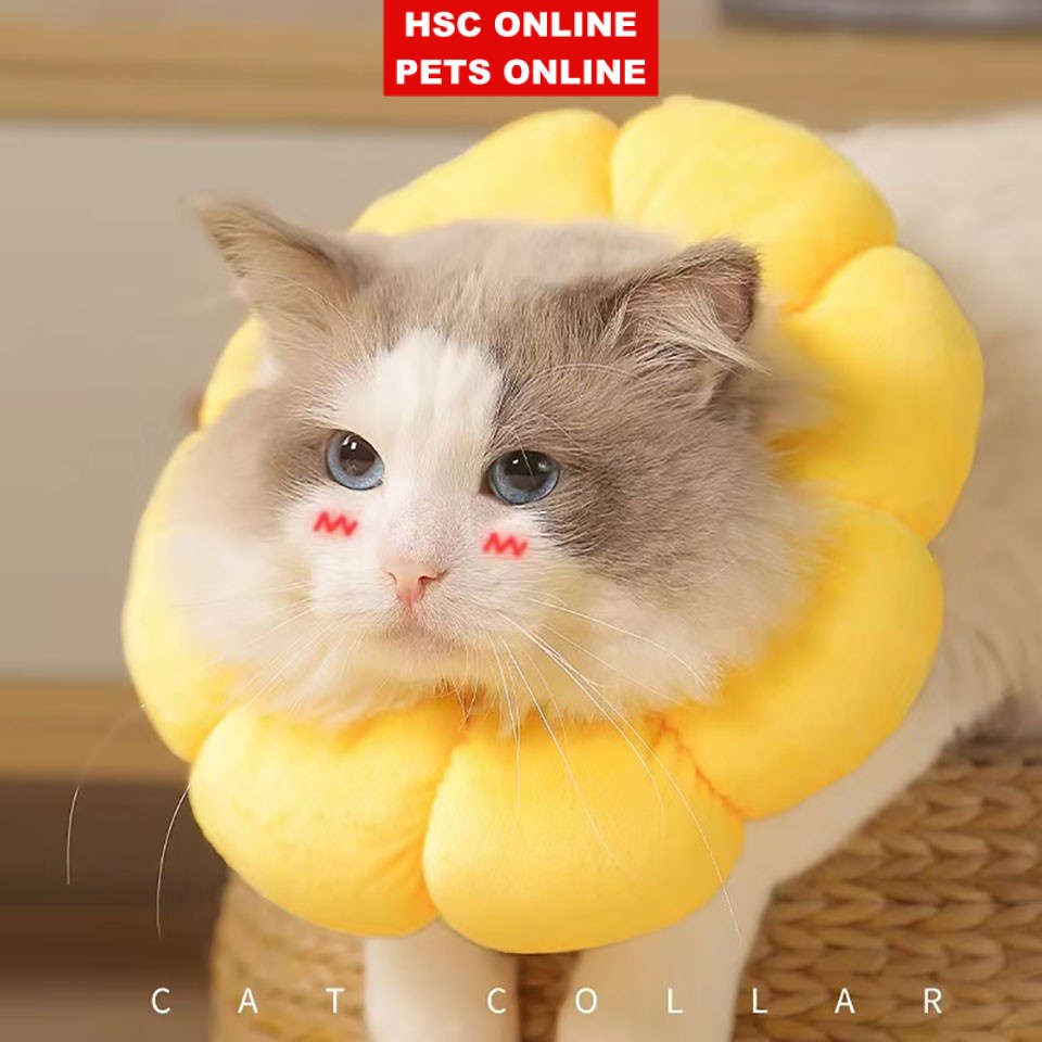 Yellow Sunflower Inflatable Recovery Cat Elizabeth Collar Anti-licking ...