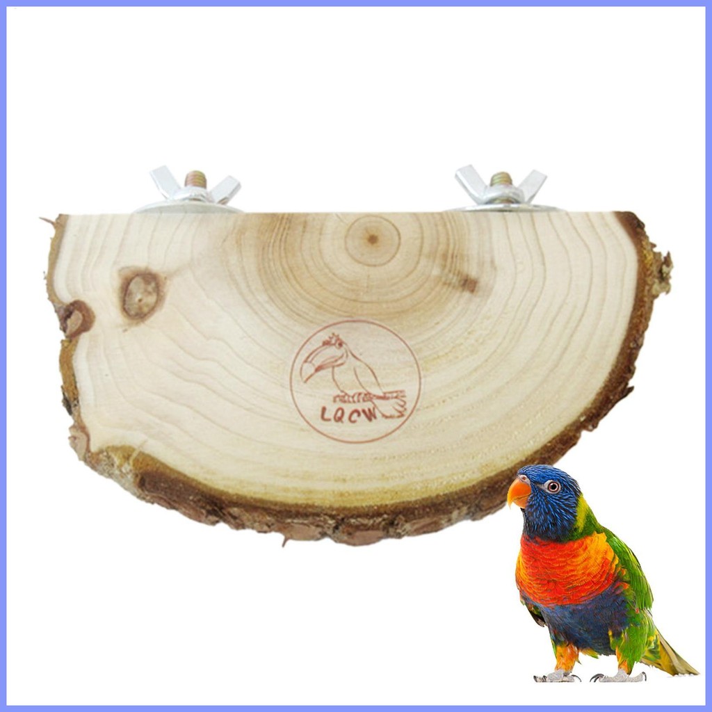Hamster Board for Cage Bird Toys Standing Station Wooden Bird Cage ...