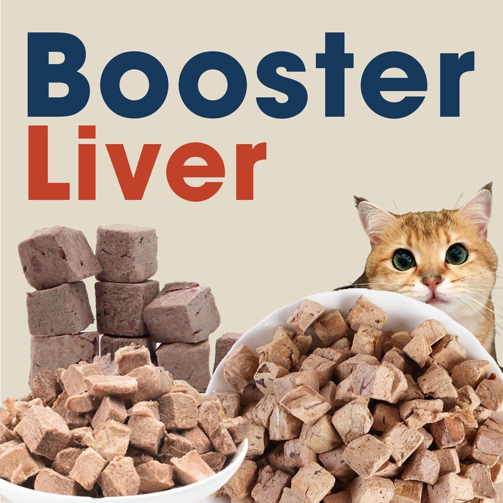 Booster Liver Cube [High Protein] 500g/50g/15g | Shopee Malaysia