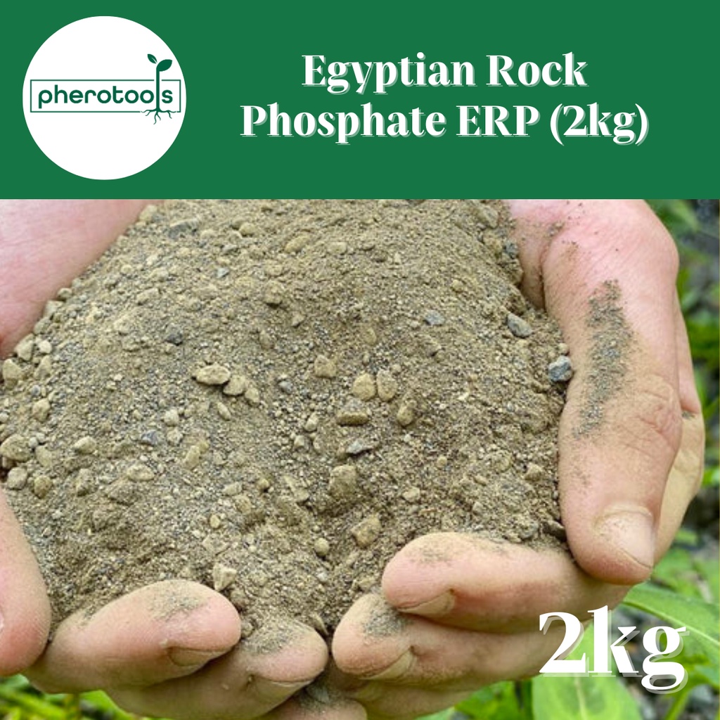 Pherotools Egyptian Rock Phosphate ERP 2KG (Baja Akar) (Baja Organik ...