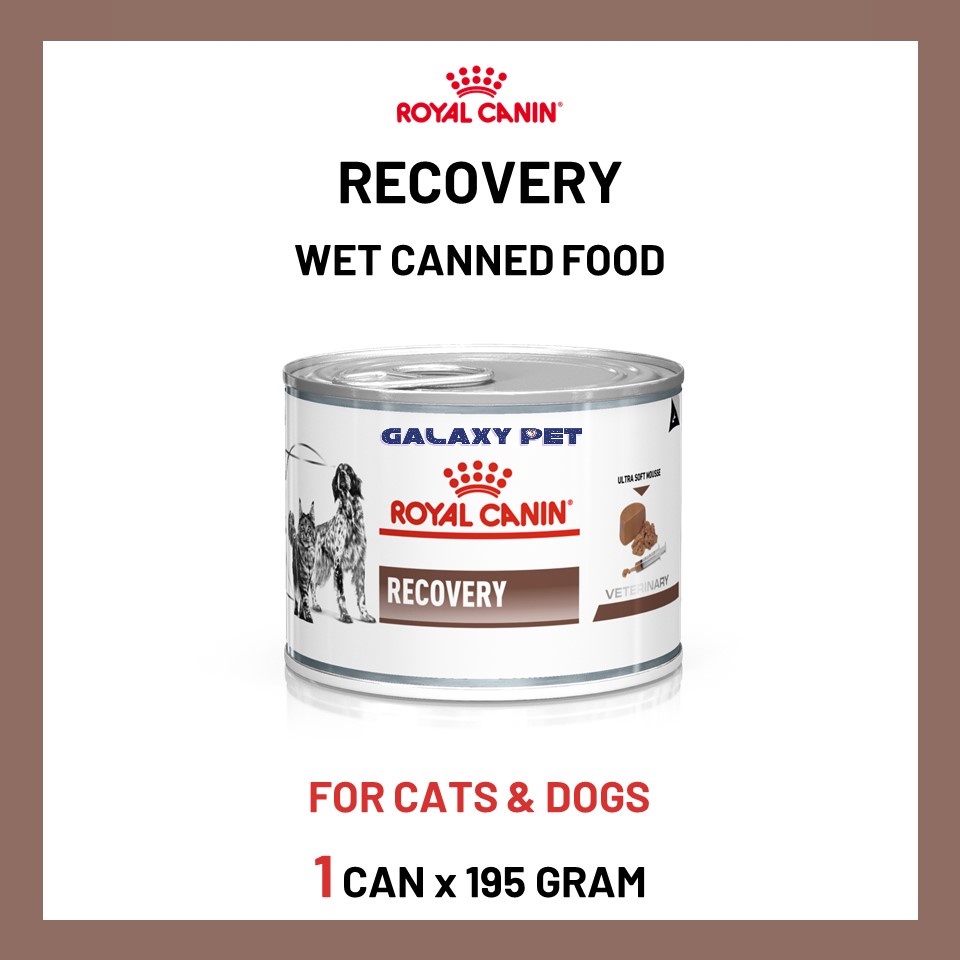 RC Recovery Ultra Soft Wet Canned Food CAT & DOG (195g x 1 Can ...