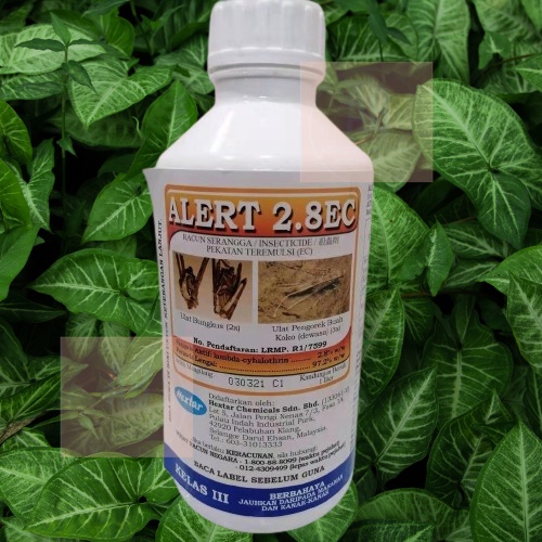 Alert 1 Liter (Sama Dengan Sygenta Karate ) lambda cyhalothrin 2.8% Racun Serangga Ulat | Shopee ...