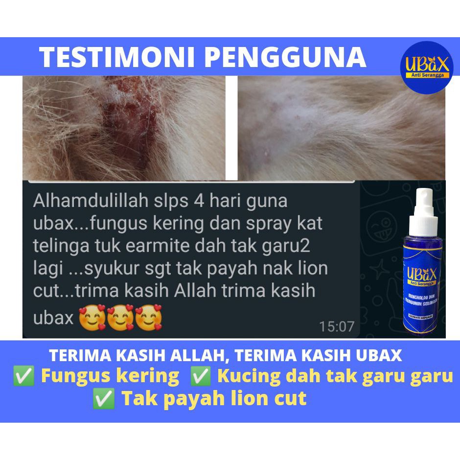 Pawpaw Ubax Kucing Ubat Cat Hero Spray original Ubat Kutu Kurap Fungus ...