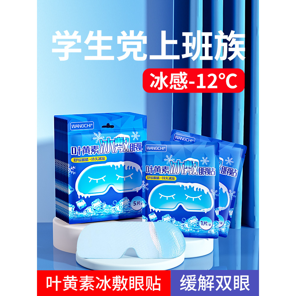 Net Chi Ice Pack Eye Mask Cooling Patch Summer Ice Patch Cooling ...