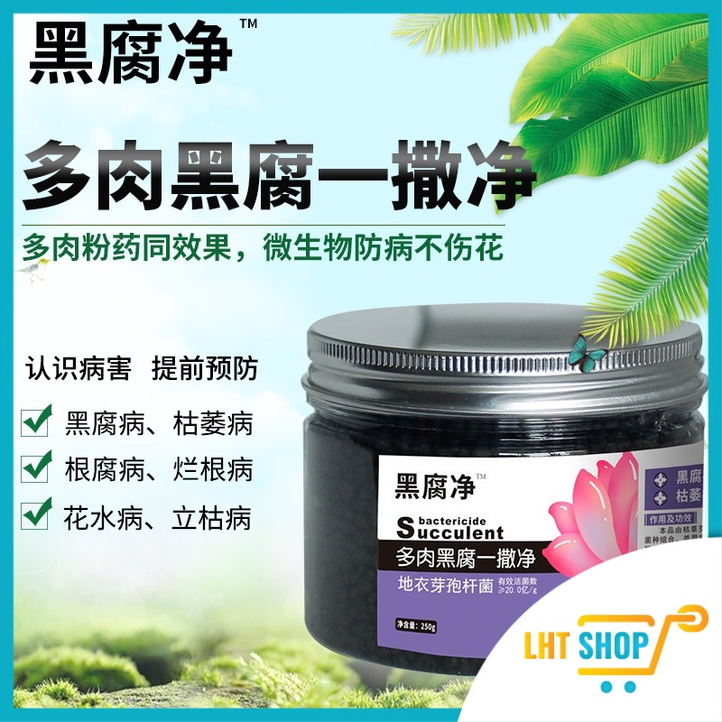 Fungicide Bactericide Succulent Succulent Plant Black Rot Prevention ...