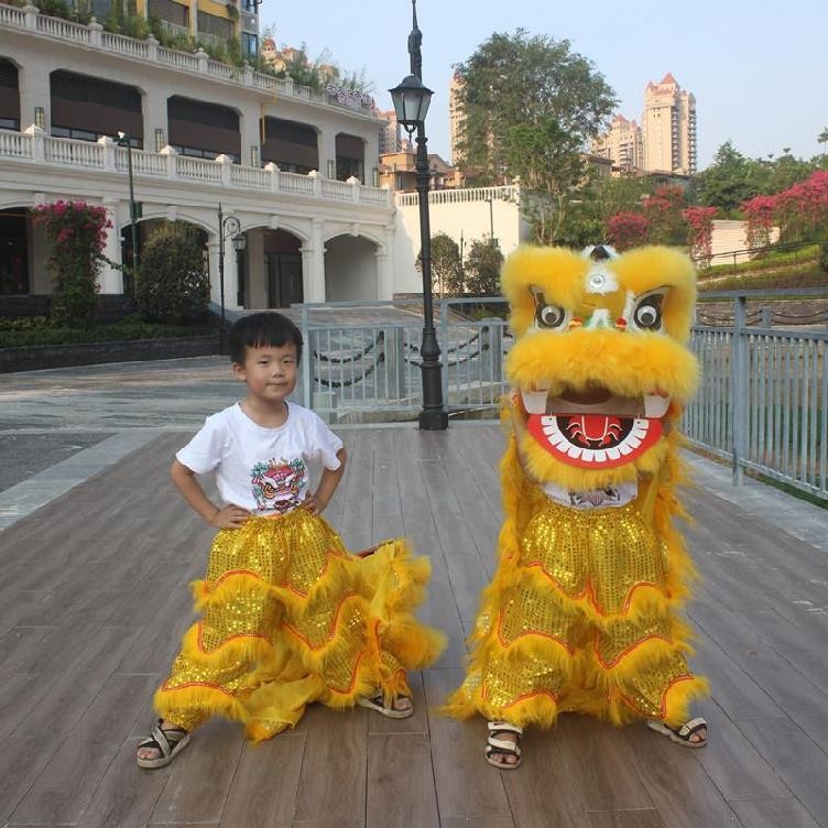 Children's Lion Dance Lion Head Performance Props Full Set Lion Dance ...