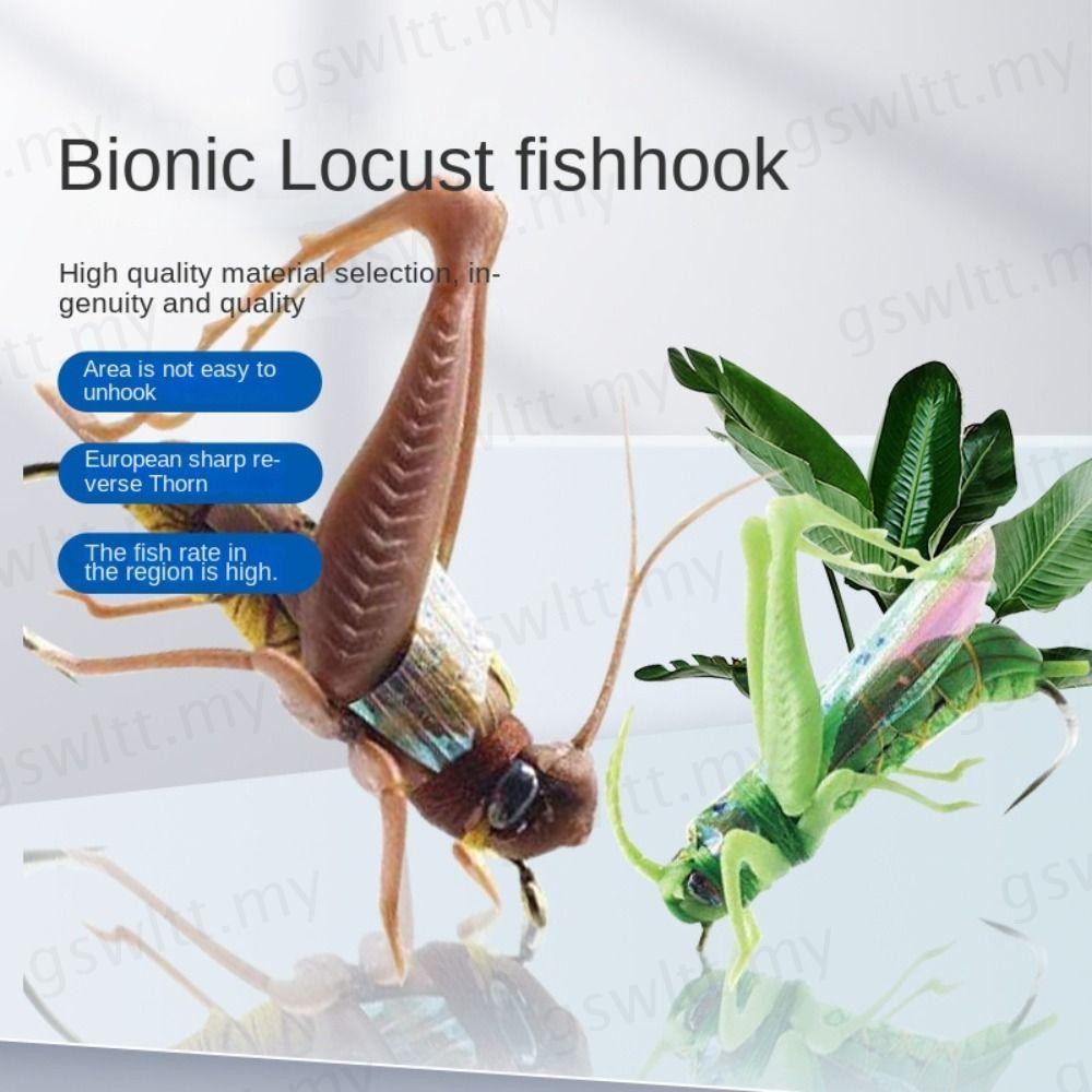 GSWLTT Insect fishing lures, 2# 6# squid grasshopper fishing bait, 2023 ...