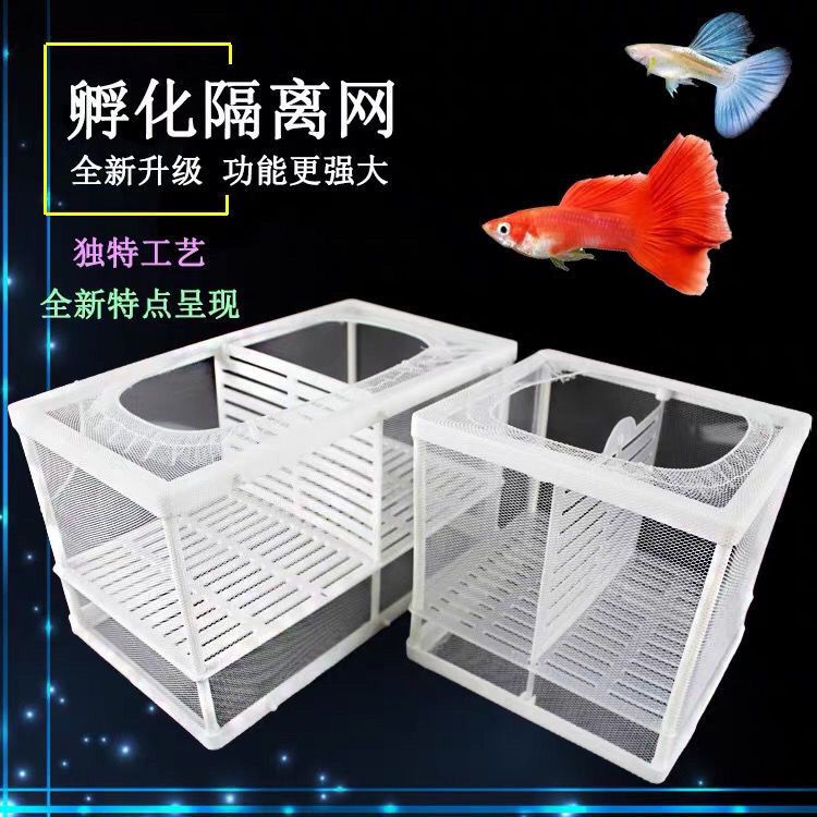 Incubator Fish Tank Isolation Net Aquarium Incubator Small Fish ...