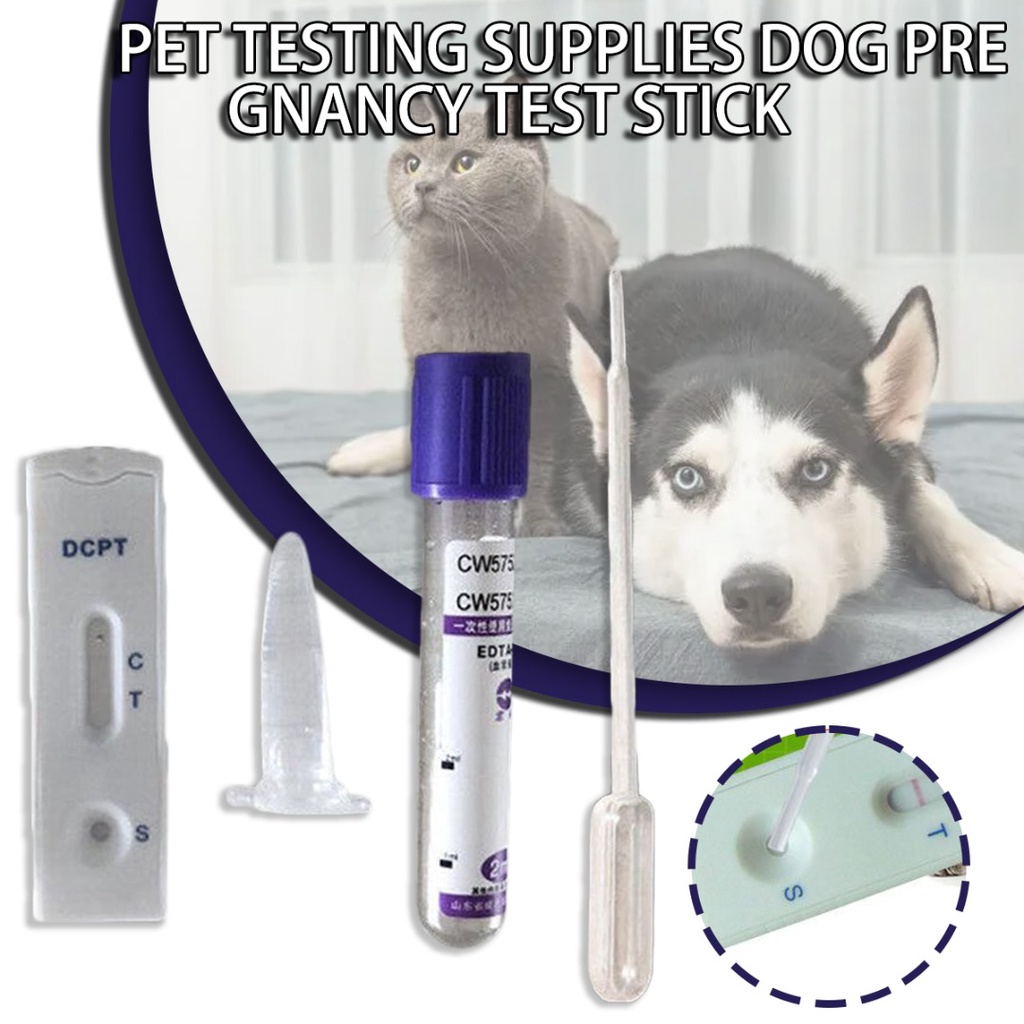 Pet Pregnancy Test Strip Dog Cat Pregnancy Test Card Canine Pregnancy ...
