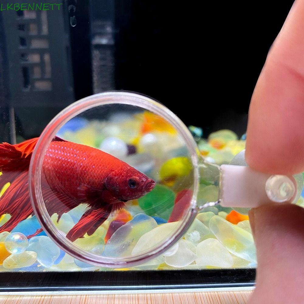 LKBENNETT 3pcs Fish Tank Viewer, Portable Mini Aquarium Magnifying ...