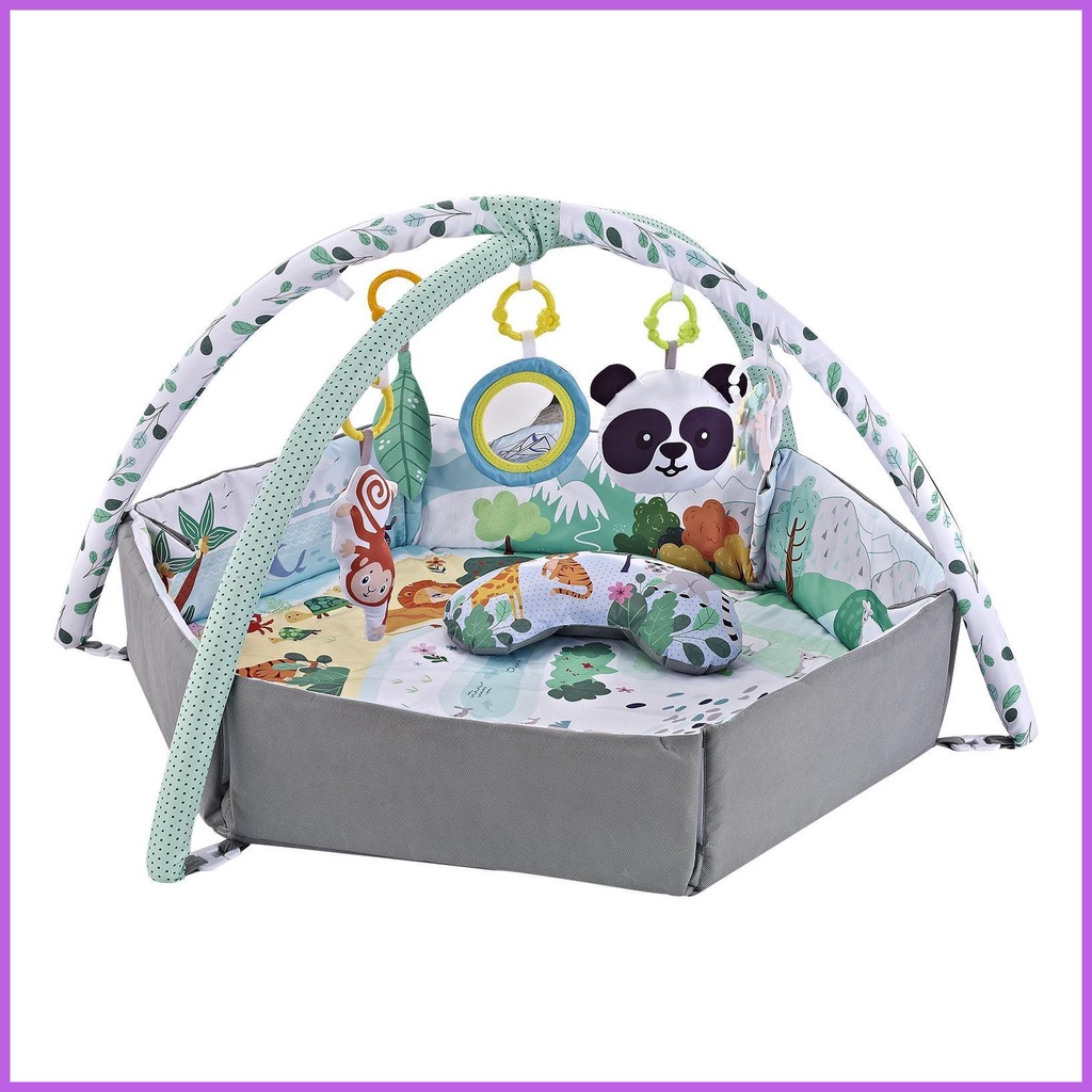 Newborn Activity Gym with Pit Large Newborn Activity Gym with Pit and ...