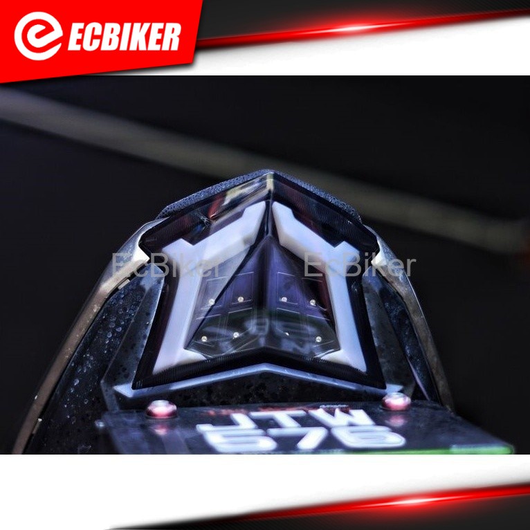 Kawasaki Z900 Z650 Integrated Tail Light | Shopee Malaysia