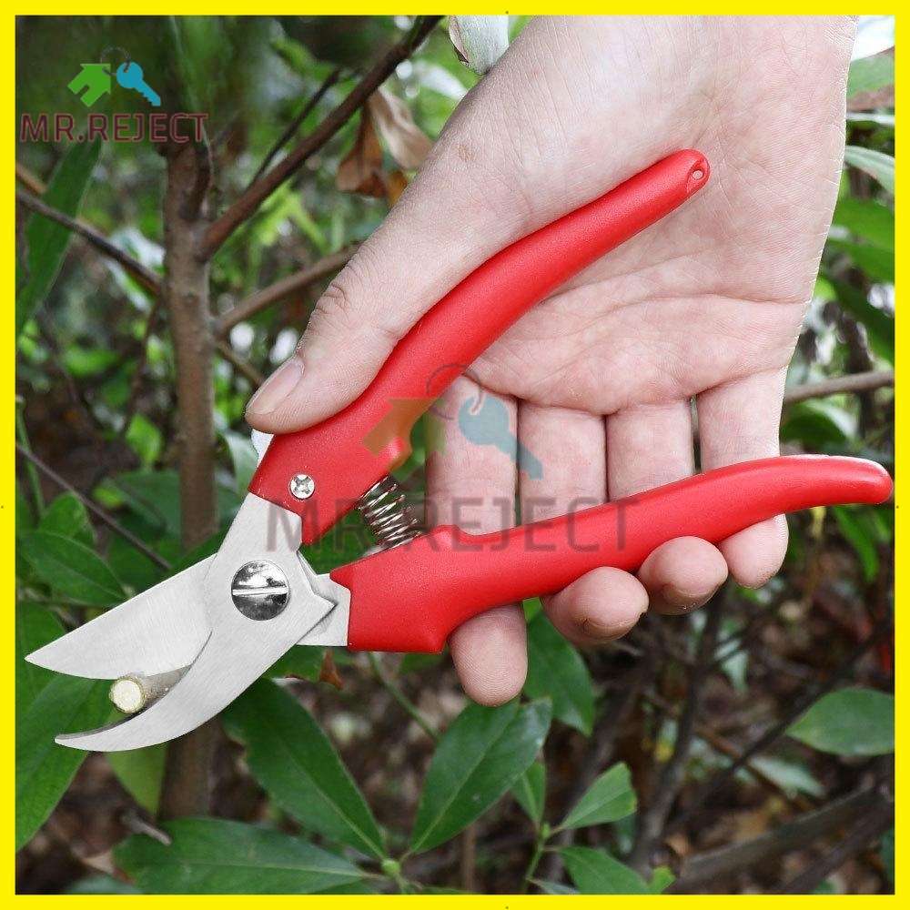 Flower Scissors Garden Pruning Scissors R2 Orchard Rough Flower Art ...