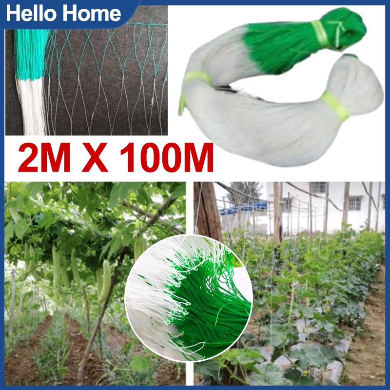2MX100M Cucumber Net Netting Jaring Timun Plant Support Net Plant Climbing Net Jaring Panjat ...