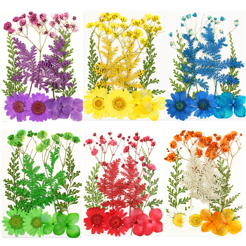 Pressed Dried Flower Material Package, Flower Embossing Material, Photo ...