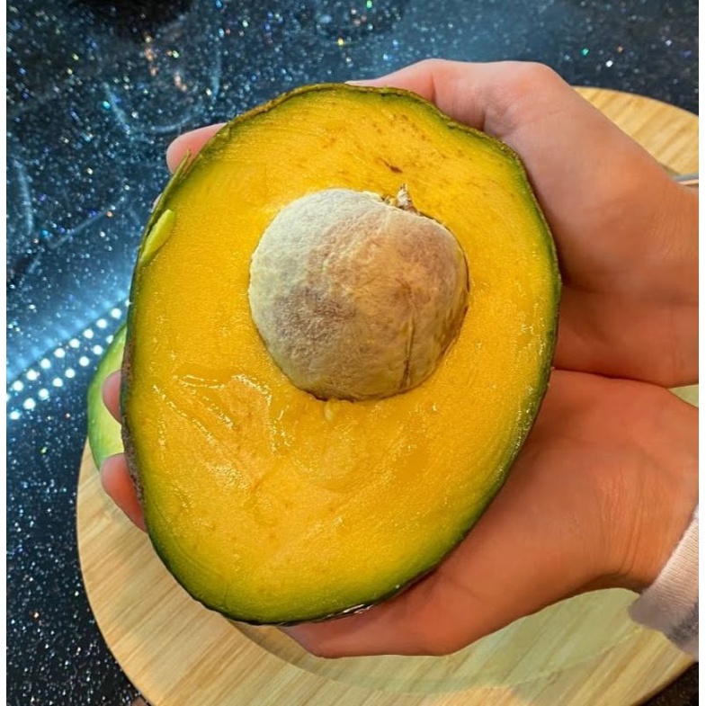 ANAK POKOK AVOCADO MARCUS / MARKUS AVOCADO | Shopee Malaysia