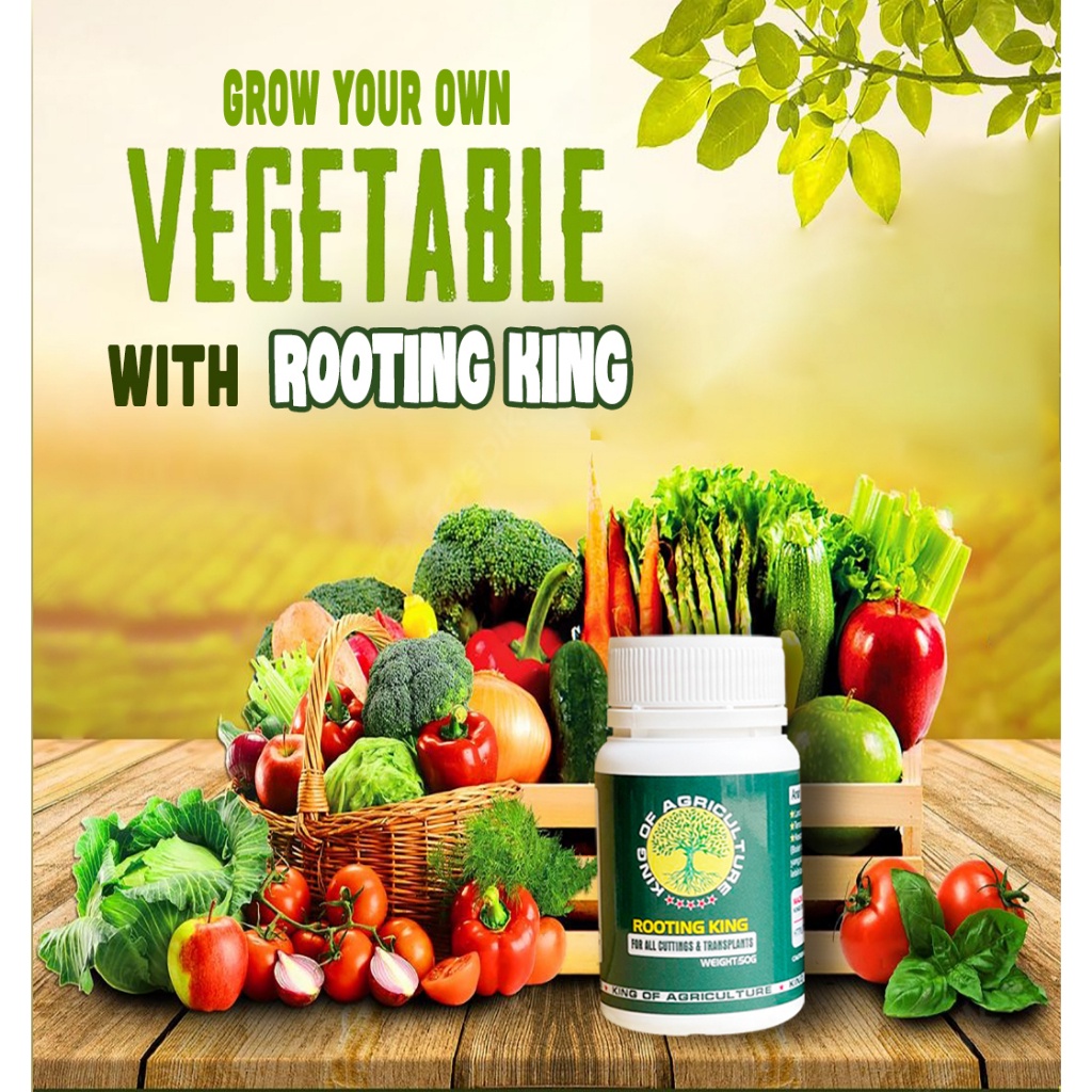 MSW 1pcs Rooting King Powder - New generation fertilizer, power for ...