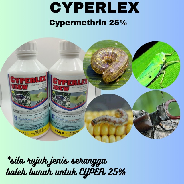 Racun Cypermethrin 25% Lalat Putih bena hijau pengorek buah kutu trip ...