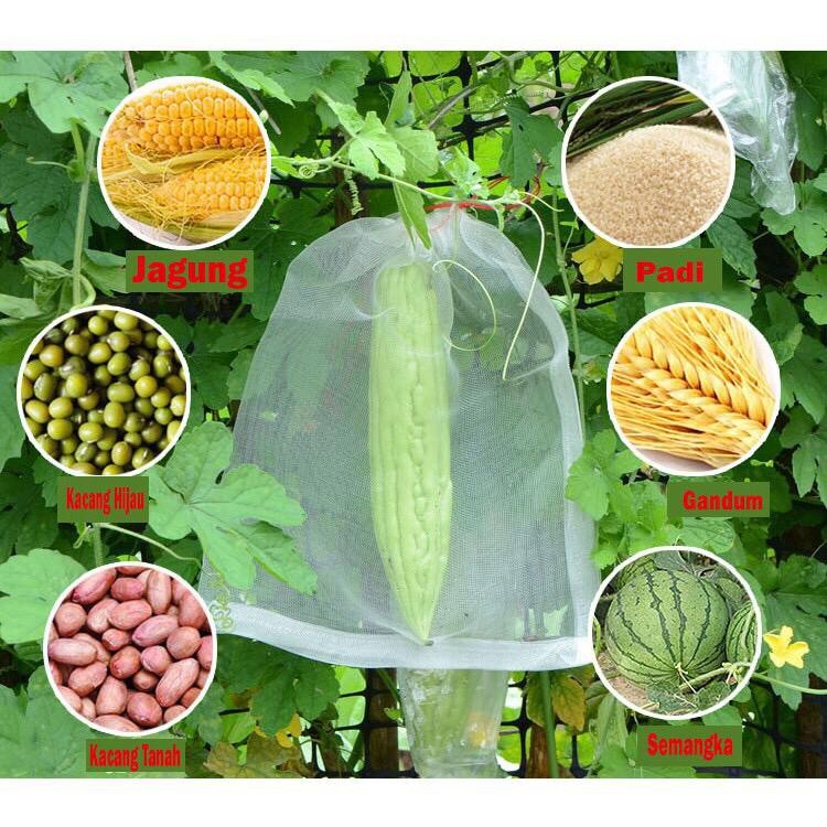 Fruit Cover, Fruit Bongsong, Fruit Net Bag Wrapping from Insect Pests ...