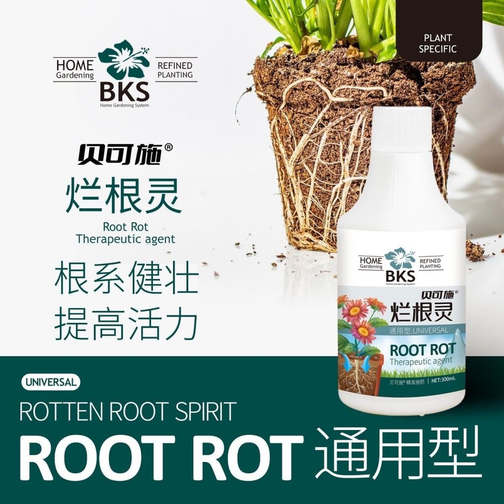 Becos Withered Root Spirit Sterilization Powerful Root Powder Orchid ...