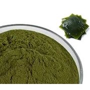 Seaweed kombu powder 100g, 100% pure kombu seaweed cook and bake ...