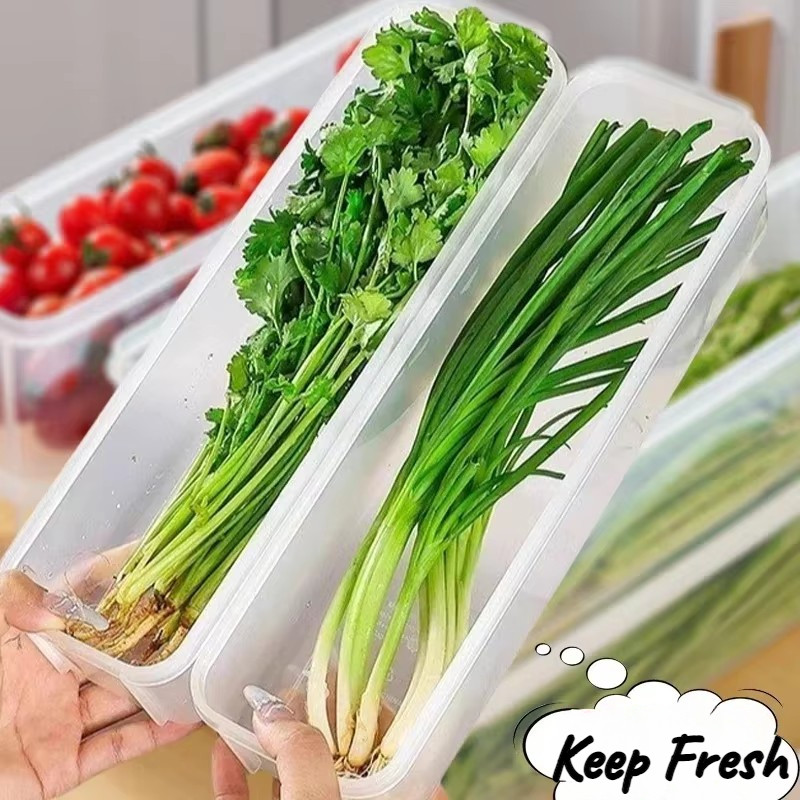 Kitchen Rectangle Transparent Storage Box Refrigerator Cilantro ...