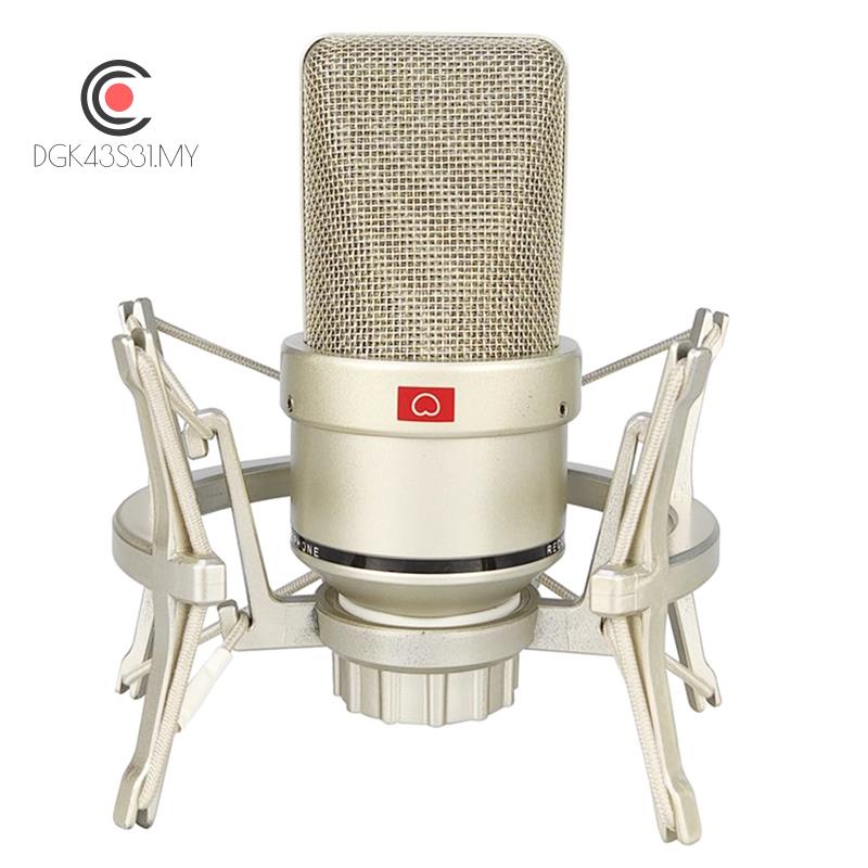 Condenser Microphone Studio for PC Laptop Computer Mic Karaoke Singing ...
