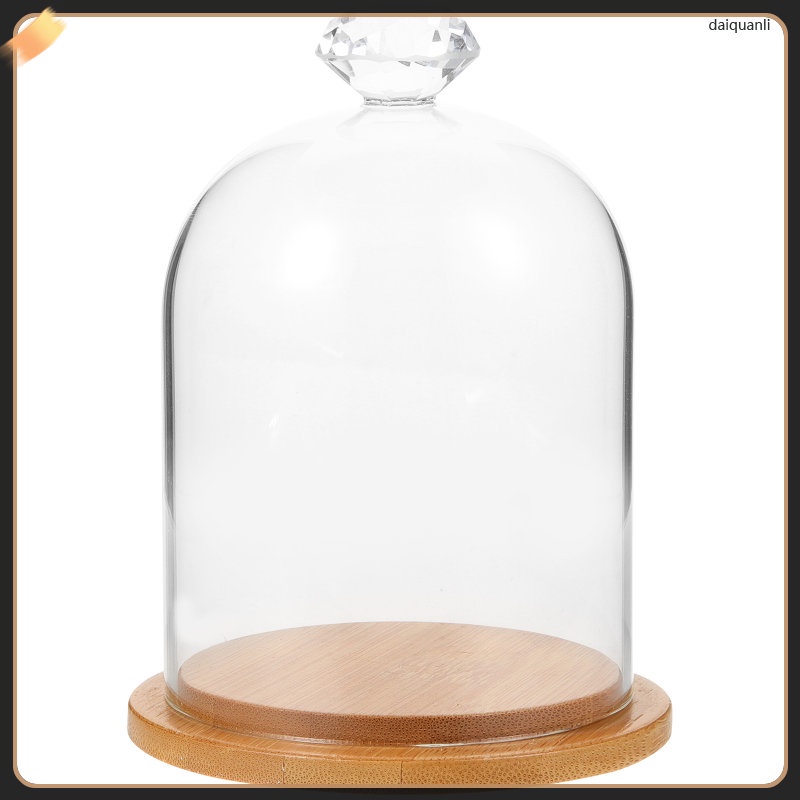 Transparent Clear Elegant Organization Dome Countertop Box Showcase ...
