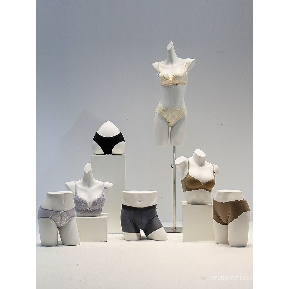 Gather Underwear Model Props Female Male Bust Bra Underwear Fake Body ...