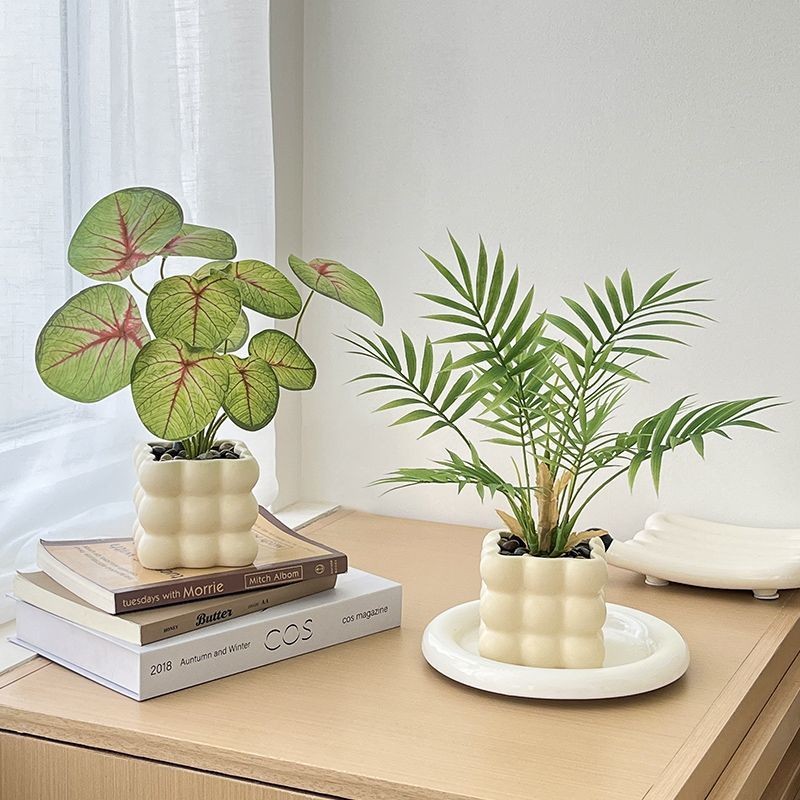 Shopee Official Nordic Simulation Green Plant Small Potted Plant ...