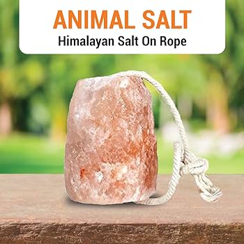 Himalayan Pink Salt Lick Mineral Salt Block on Rope Rock Salt for ...