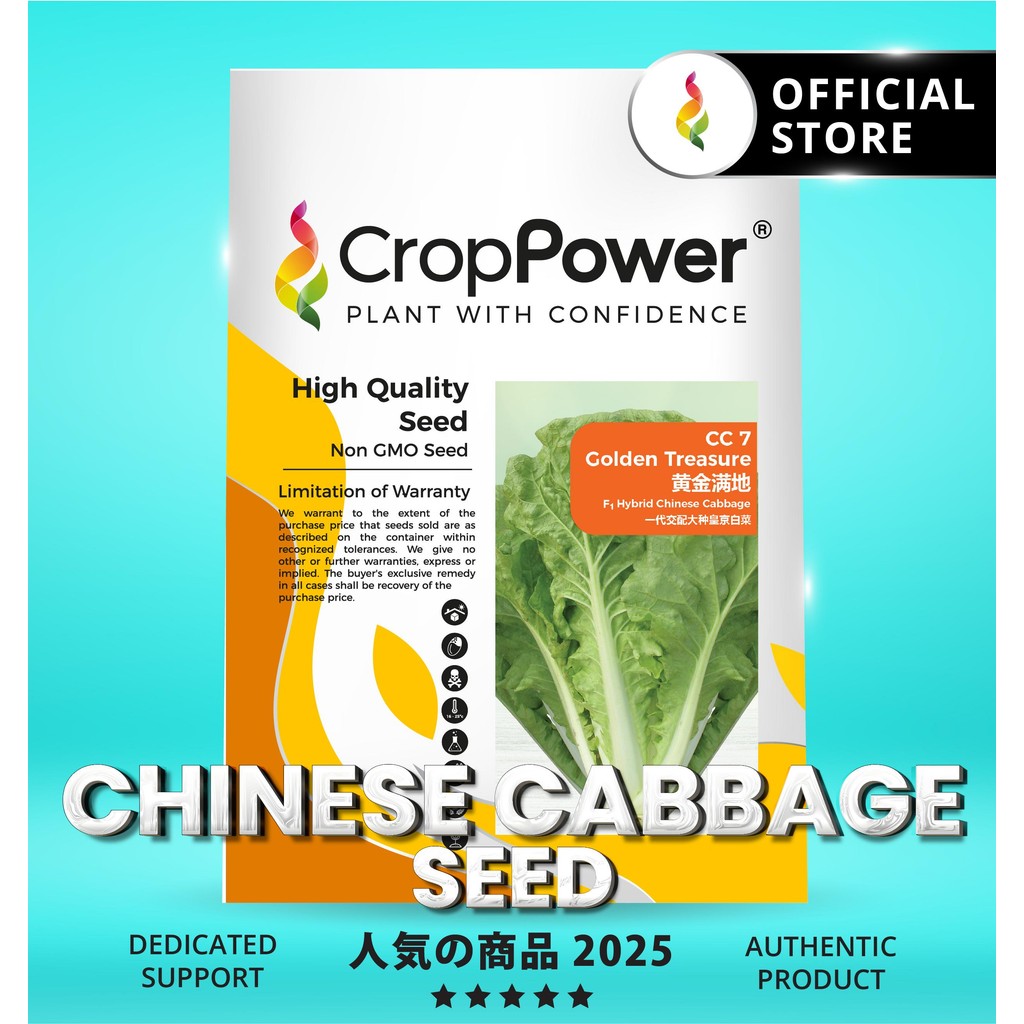 (50 GRAM) Biji Benih Kubis Cina Golden Treasure 黄金满地 CC7 CROP POWER F1 ...