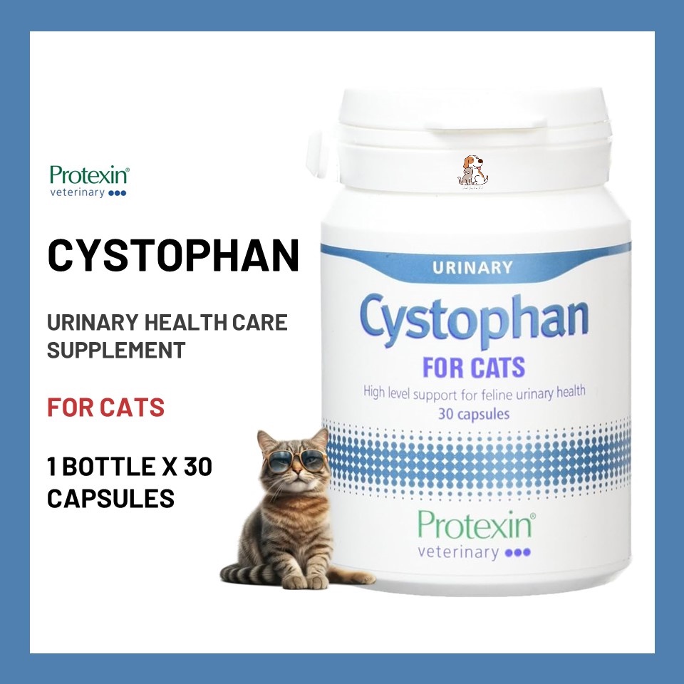 PROTEXIN Cystophan Urinary Health Care Supplements CATS (30 capsules ...