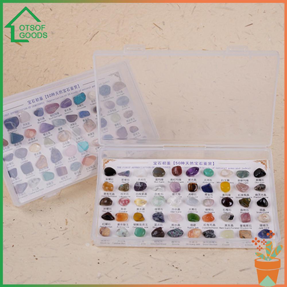lotsofgoods 50PCS/Box Geology Rock Specimen Multifunctional Geology ...