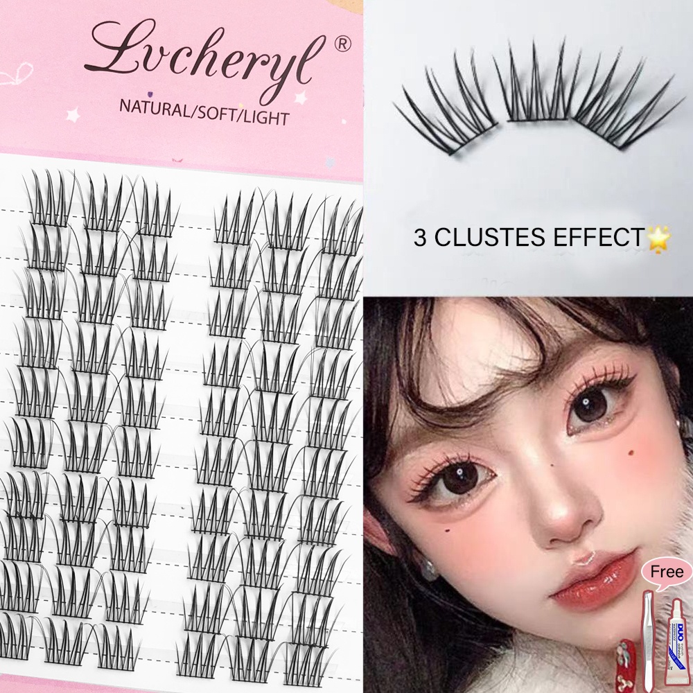 Lvcheryl New Segmented Cat Eyelashes Extension Reusable Mixed Grafting ...