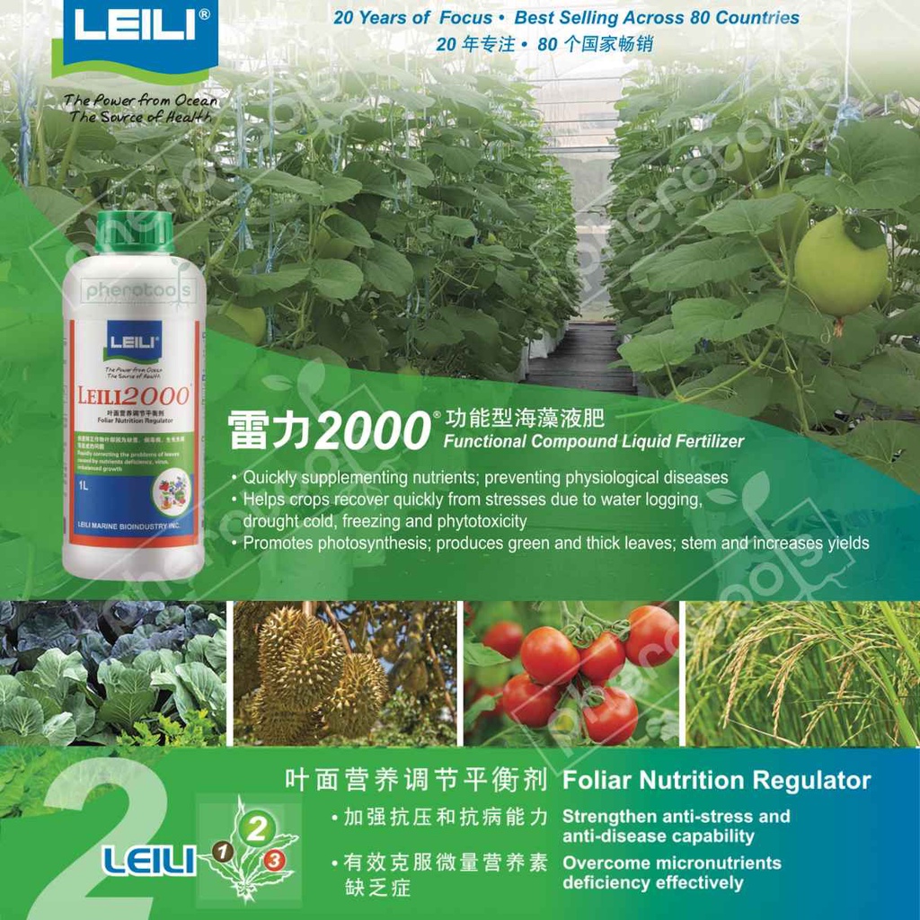 LEILI Foliar 3 (Leili 2000, AMICA & Algreen) LIGOPLEX (5L) - Baja ...