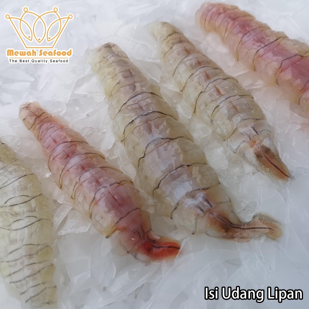 Isi Udang Lipan (Beku) 1 Pek | Shopee Malaysia