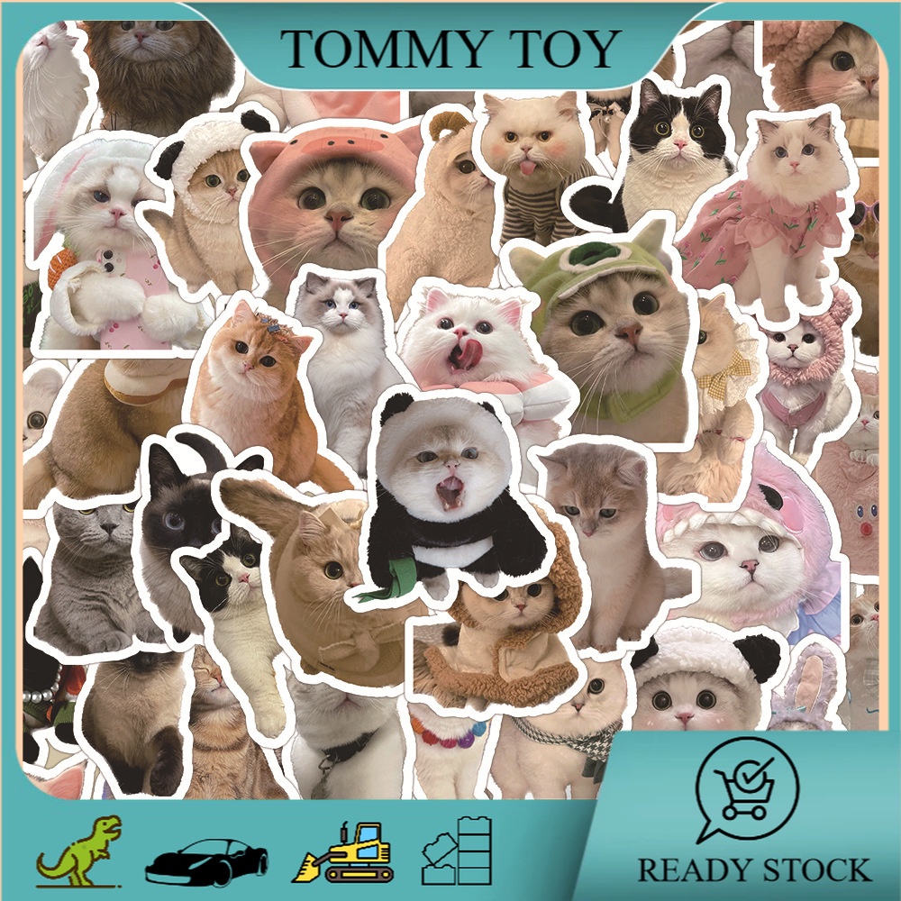 M'sia Stock 60pcs Cute Realistic Cat Stickers Cute Cartoon Cat Desktop ...