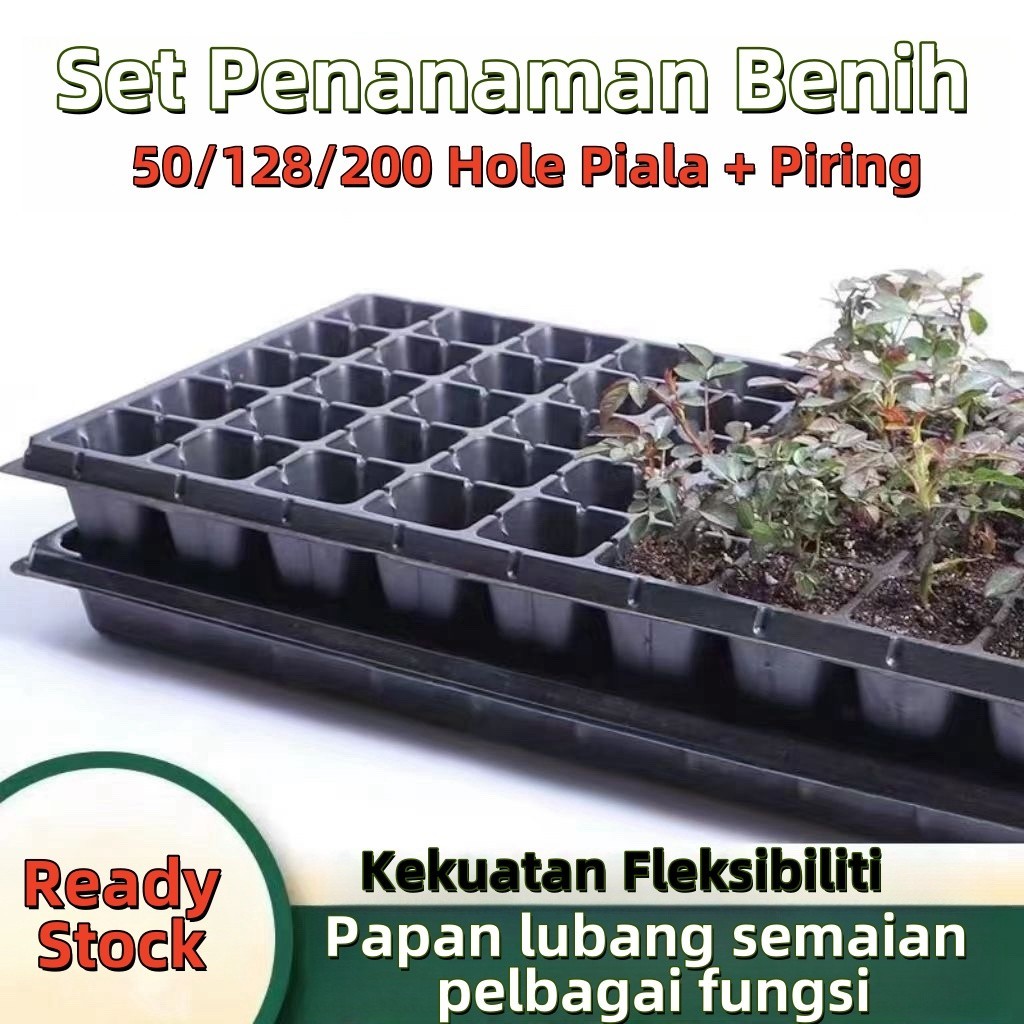 Tray Semaian 50 128 Holes Tray Plastic Nursery Tray Seedling Tray Bekas ...