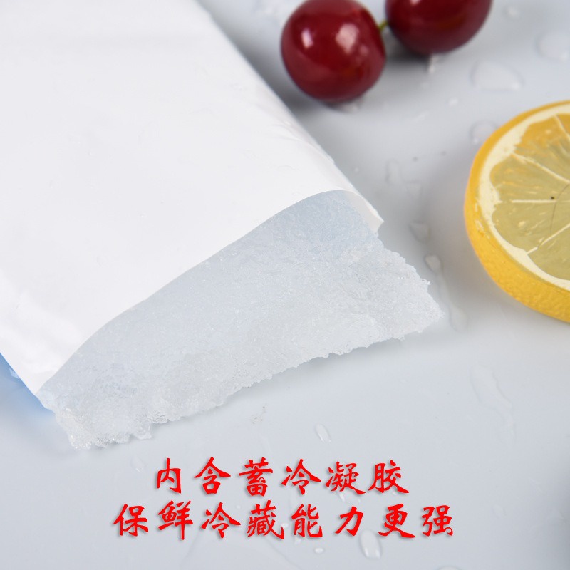 Reusable Ice Bag Pack Water Injection Cooler Frozen Food Seafood ...