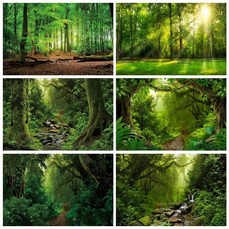 Custom Tropical Forest Scenery Green Leaves Backdrop Adventure ...