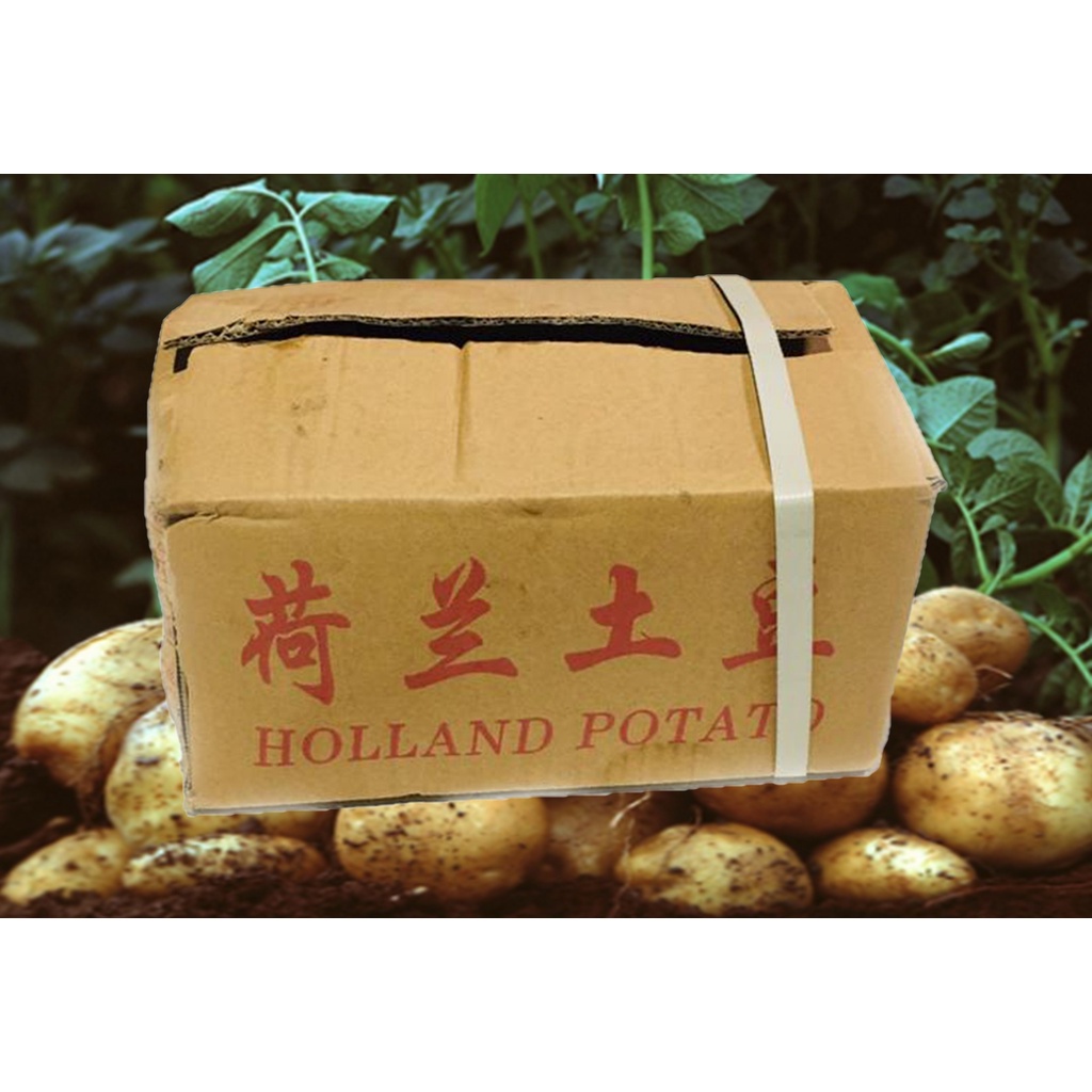 Gred A 2.6KG± Import Ubi Kentang Kotak/进口荷兰马铃薯 (盒装) | Shopee Malaysia