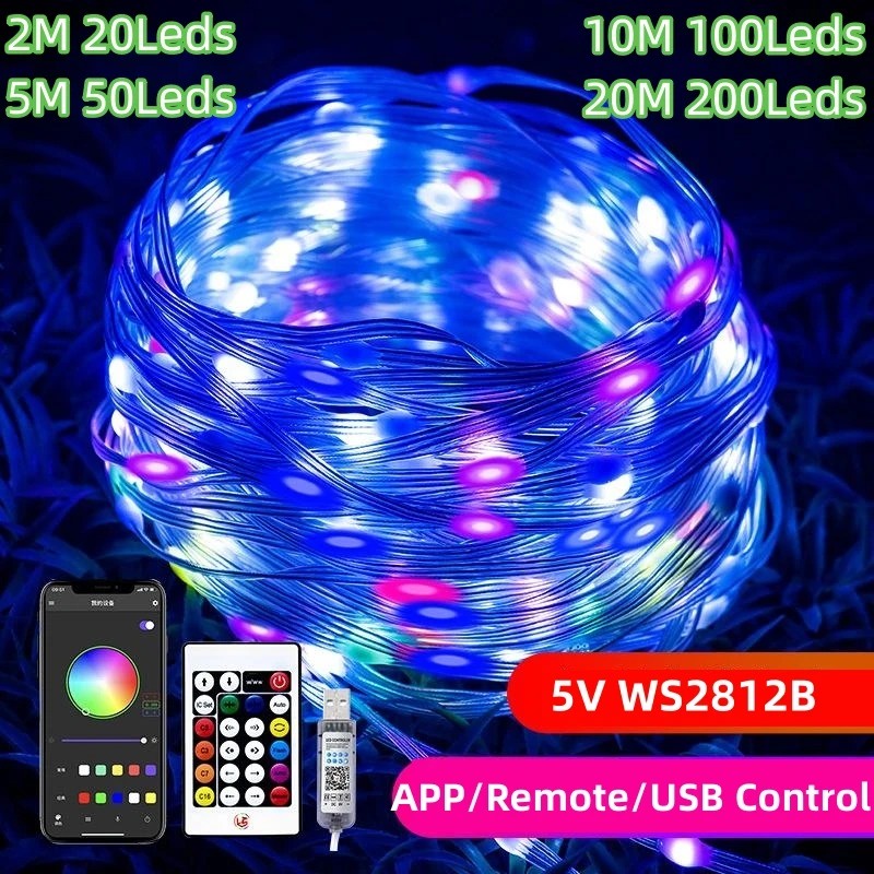 2m/5m/10m/20meters 200Leds 5V USB WS2812 LED String APP Remote Led ...