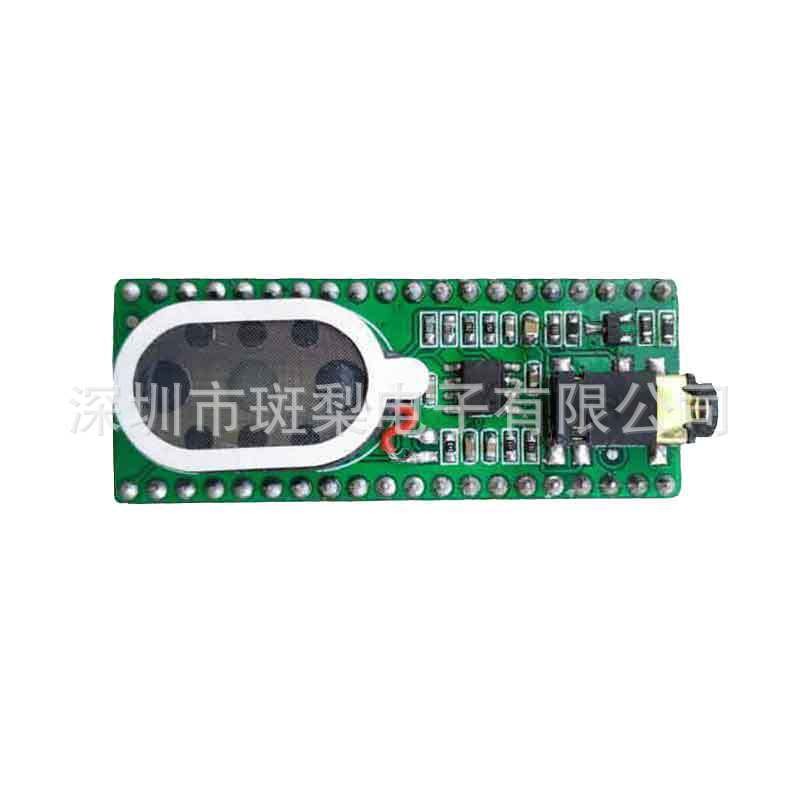 Raspberry Pico Pico Speaker Expansion Board Audio Expansion Board ...
