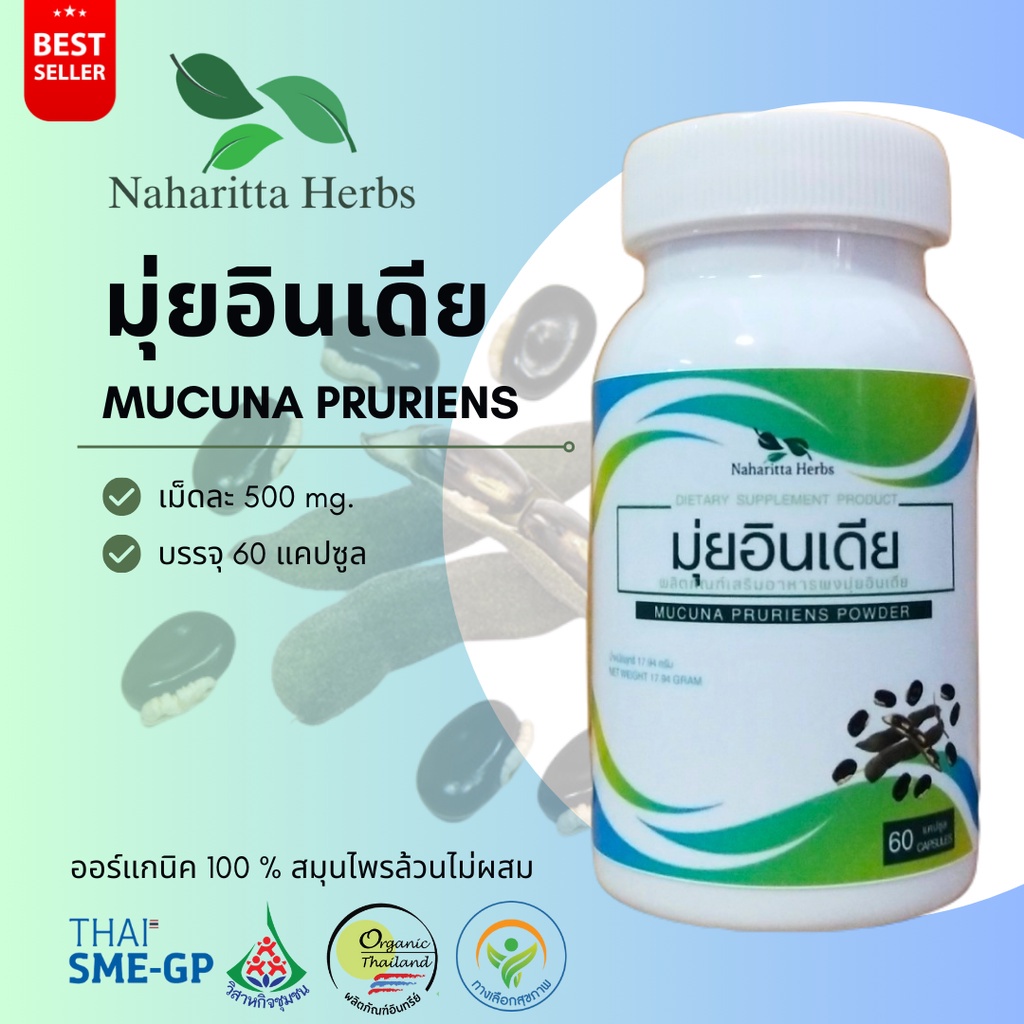 Mui India Mucuna pruriens 1 60cap. | Shopee Malaysia