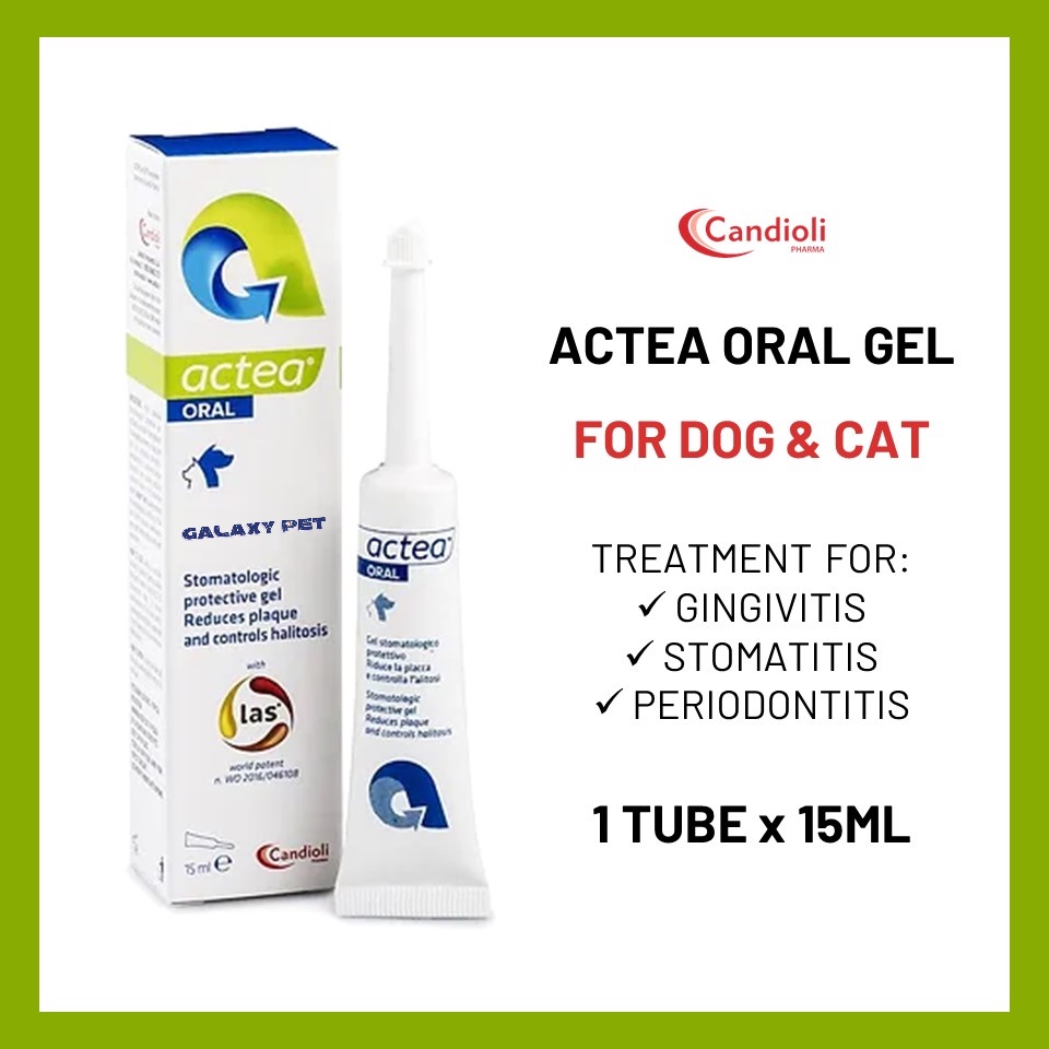 Actea Oral Gel for Dog & Cat (15ml x 1 tube) (EXP:03/2027) | Shopee ...