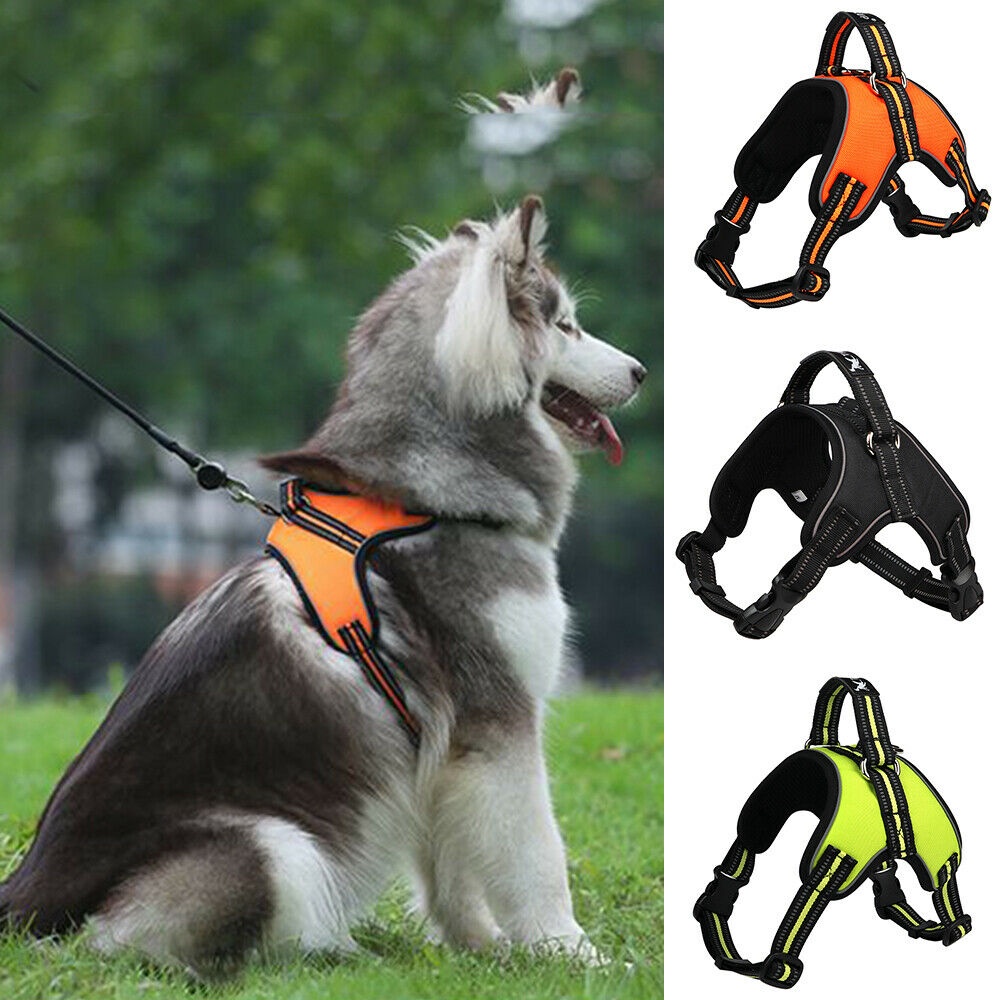 Prevent Pulling And Suffocation With Anti-pull Dog Harness Perfect For ...