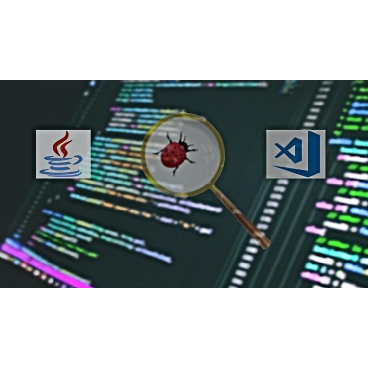 [COURSE] Java Debugging With Visual Studio Code: The Ultimate Guide ...