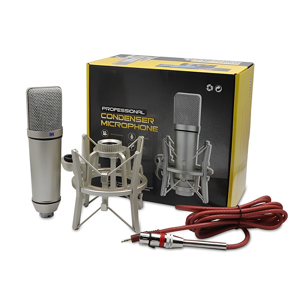 Metal Body Cardioid Microphone Condenser Recording Studio Microphone ...